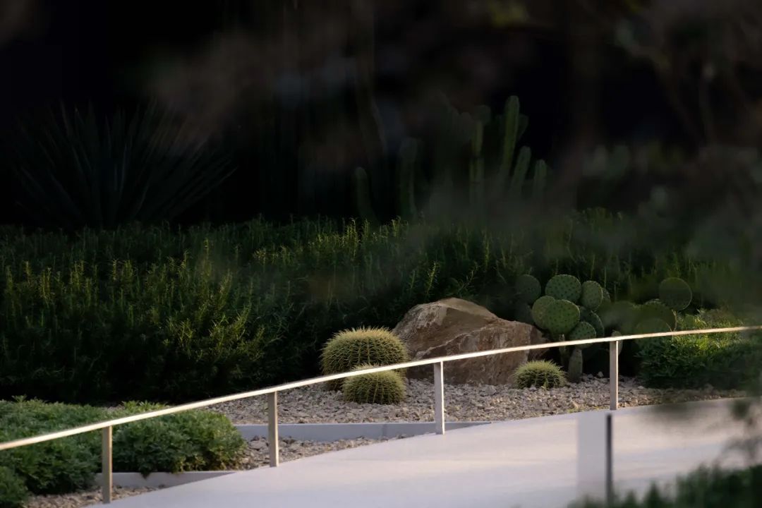 成都麓湖·C19鸿鹄岸样板岛 | JTL加特林 - 景观网